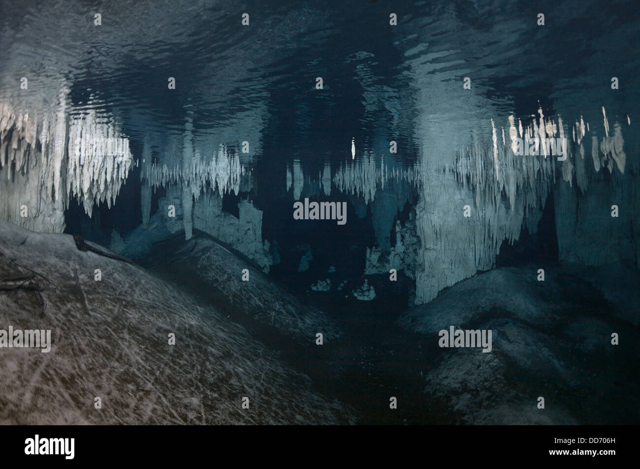 Underwater ceiling hi-res stock photography and images - Alamy