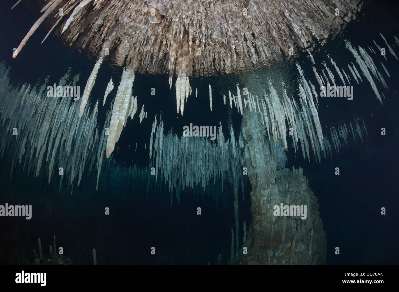 Stalactites at the ceiling in Mexican cenote are reflected in the water ...