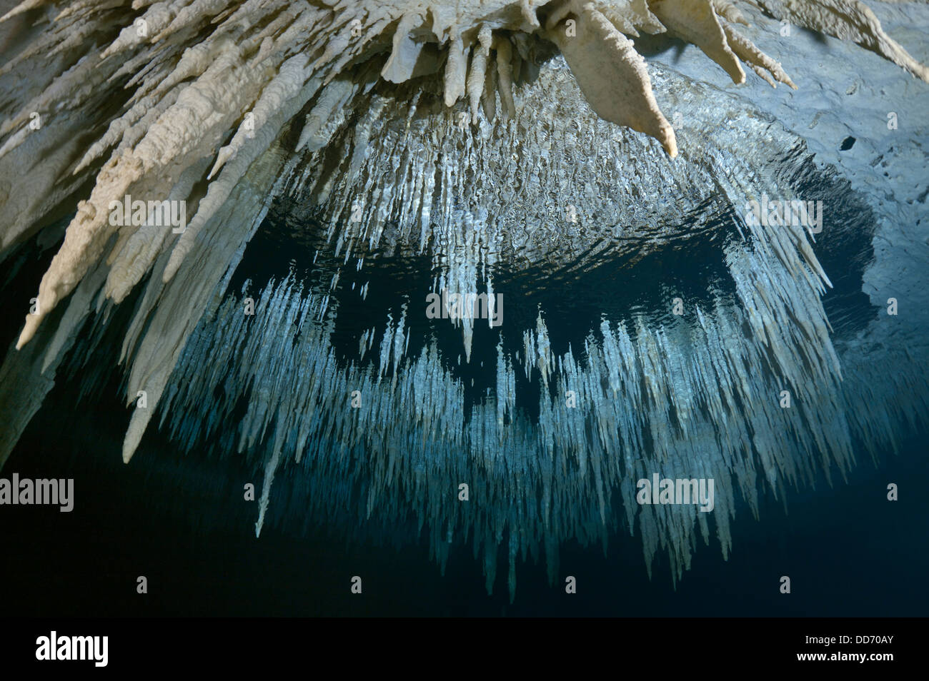 Stalactites at the ceiling in Mexican cenote are reflected in the water ...