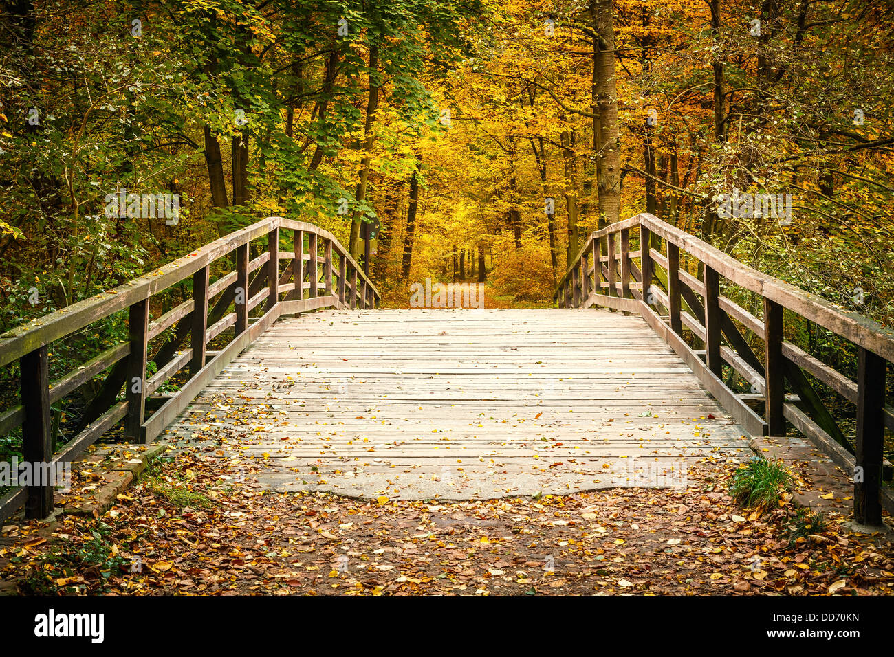 Bridge in autumn forest Stock Photo - Alamy