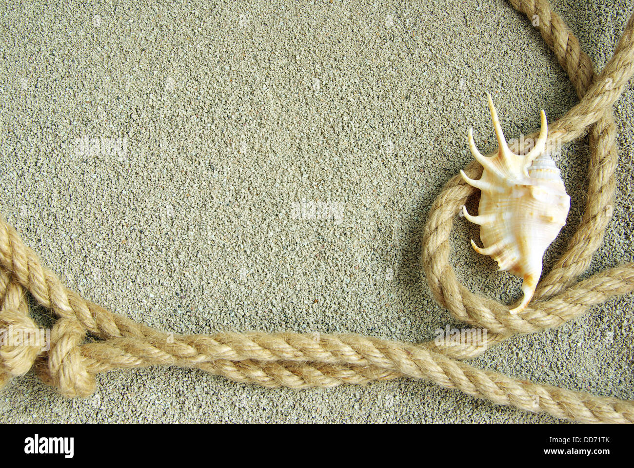 shells in rope Stock Photo - Alamy