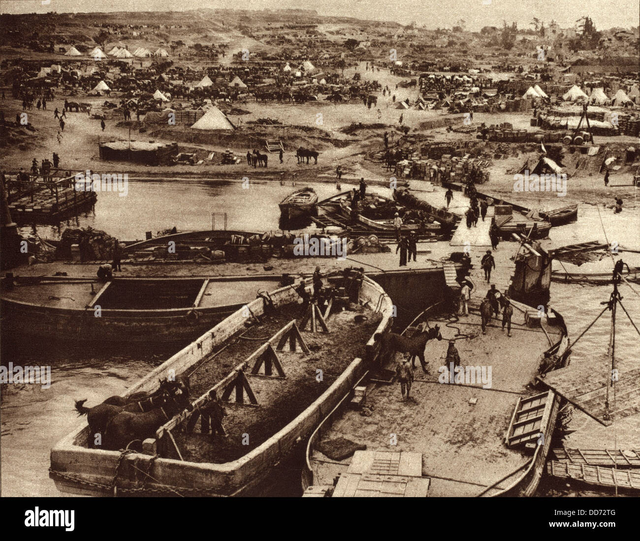 Horses world war one british hi-res stock photography and images - Alamy