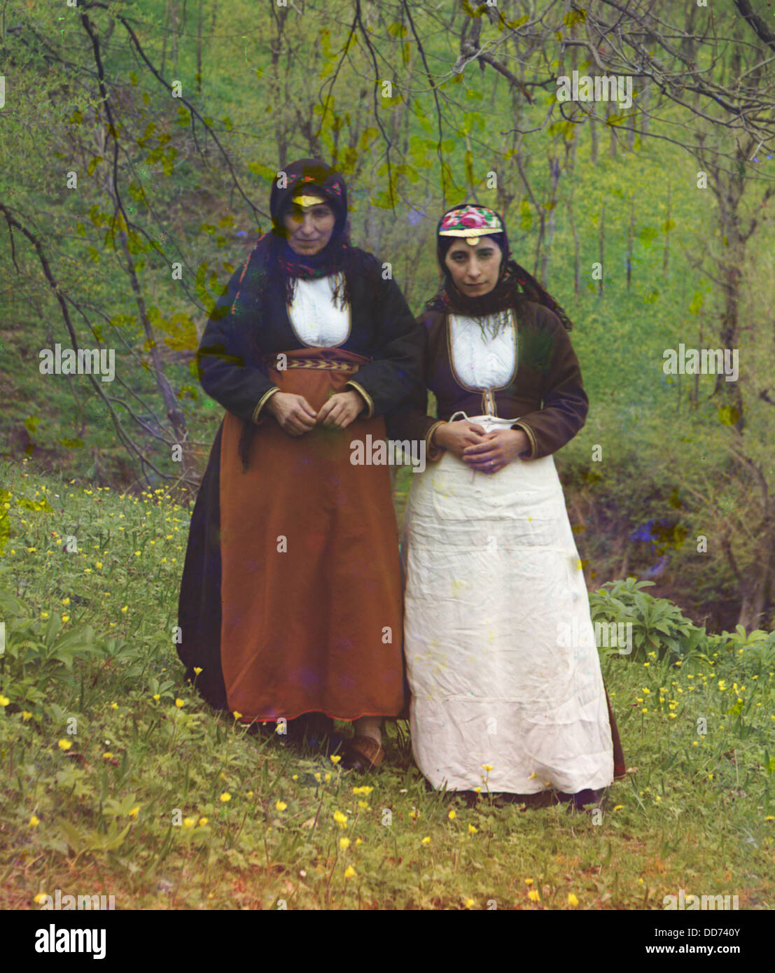 Traditional Armenian Dress 311 Armenian Costumes Stock Photos,