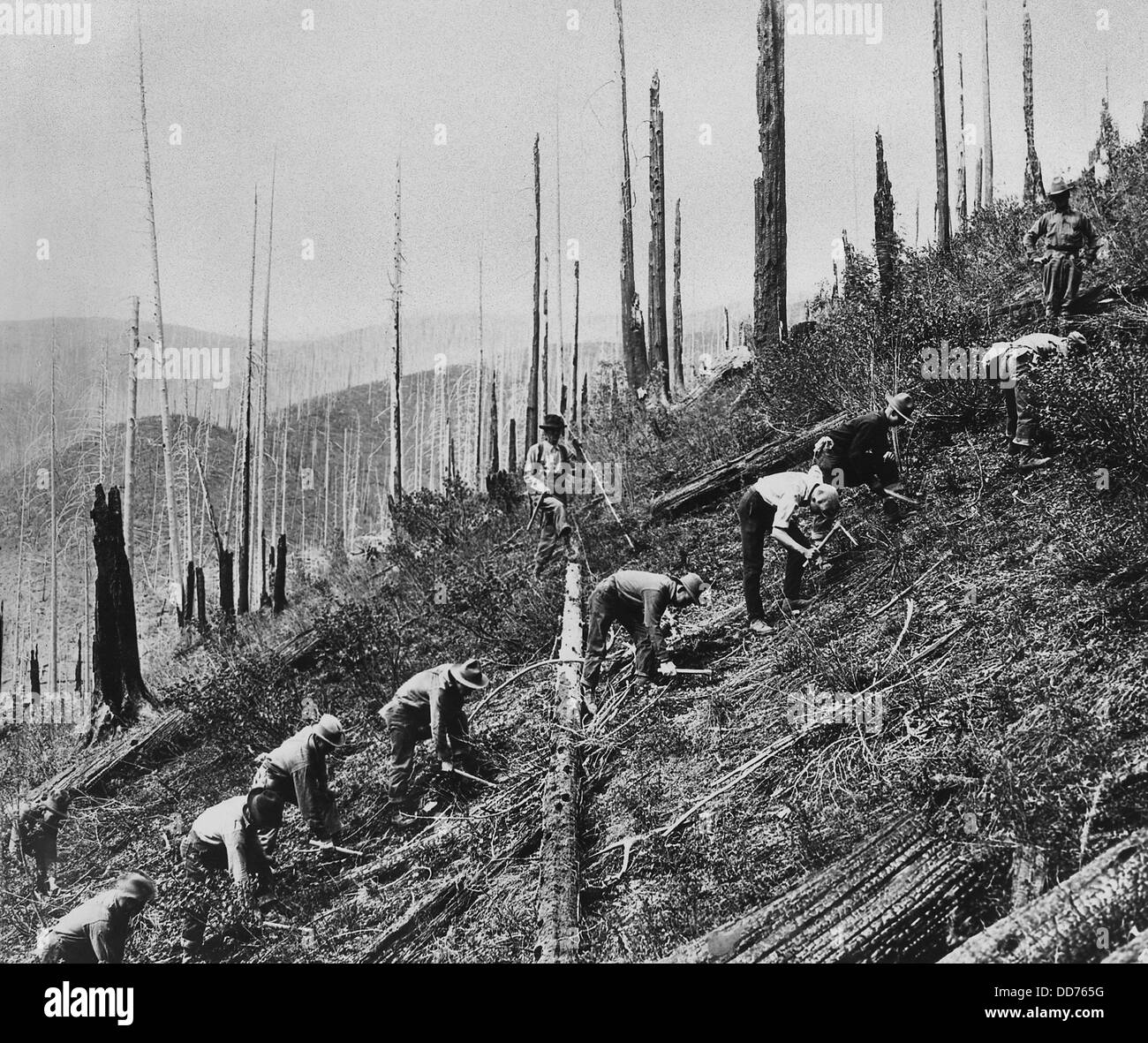 Civilian Conservation Corps The Civilian Conservation Corps In