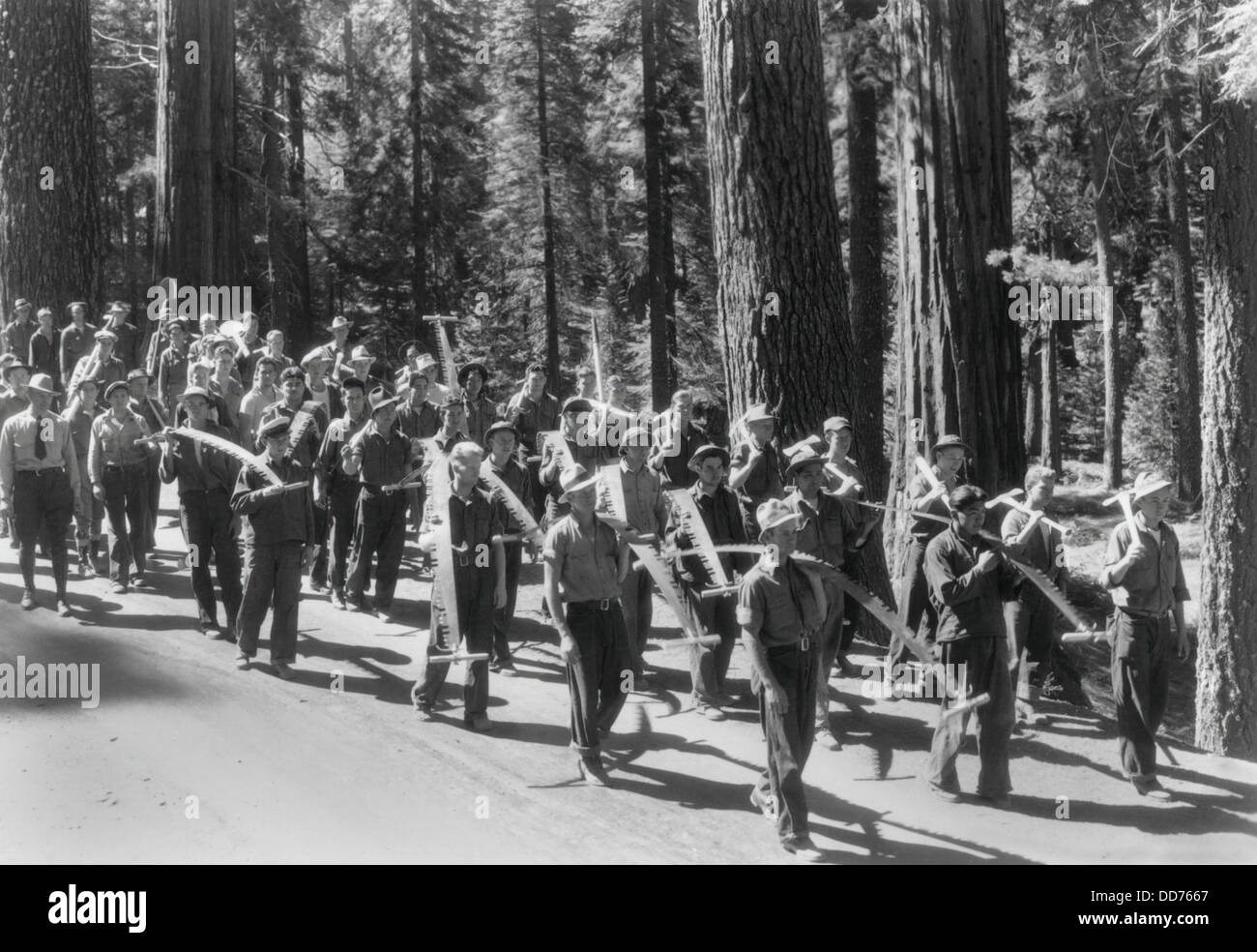 Civilian Conservation Corps (CCC) work force in Yosemite National Park ...