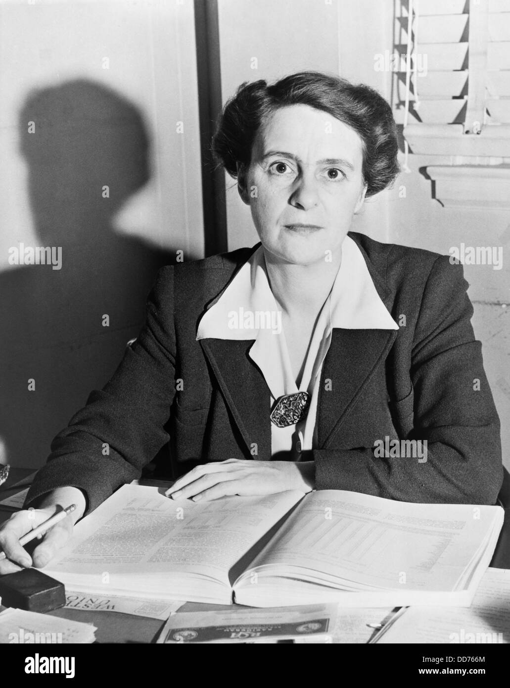 The New Deal Programs Ccc