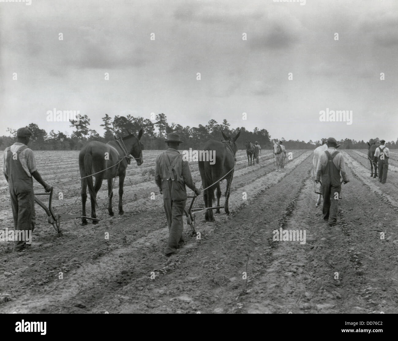 1930s african americans south hi-res stock photography and images - Alamy