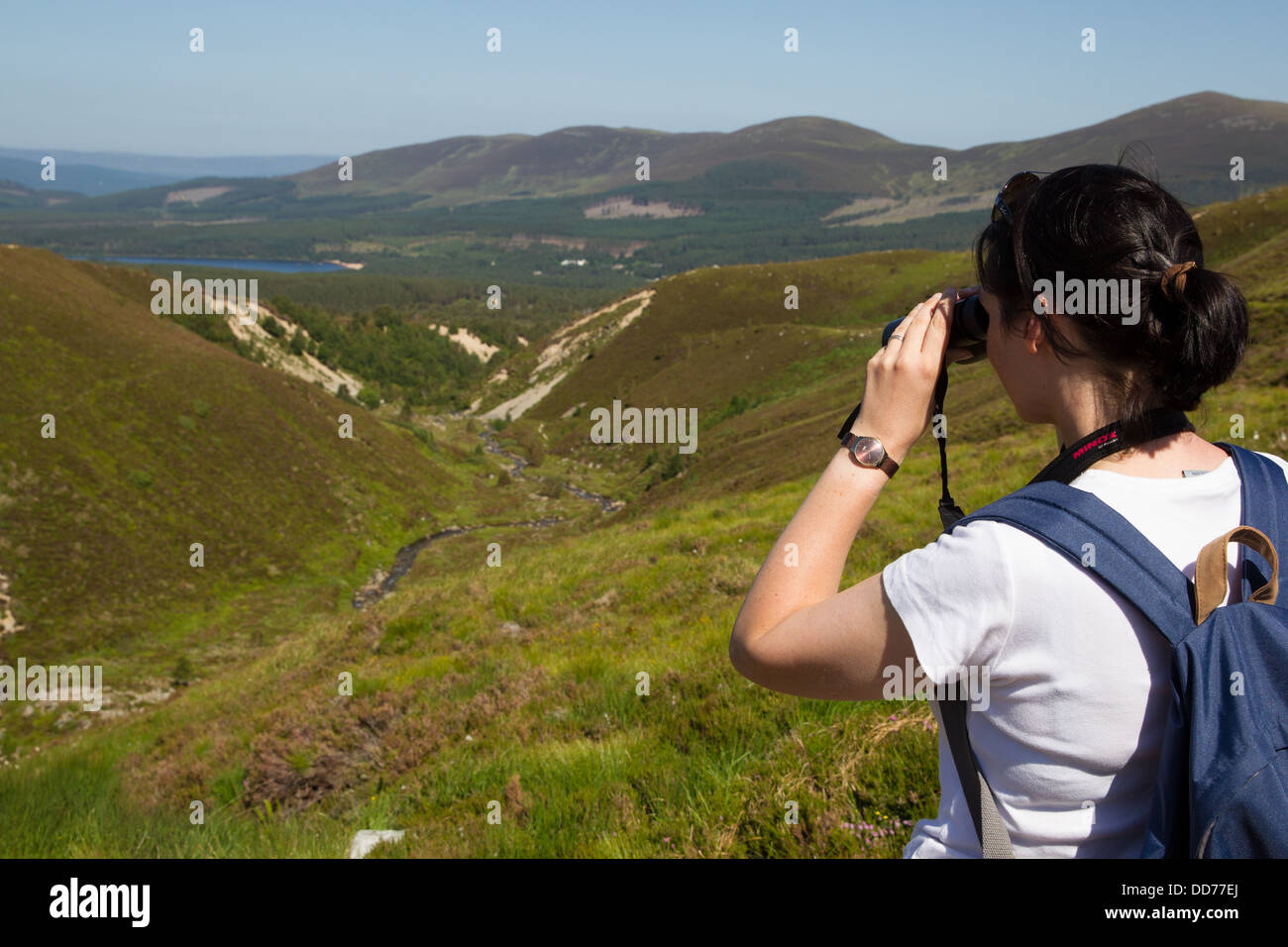Woman birdwatching with binoculars Stock Photo - Alamy