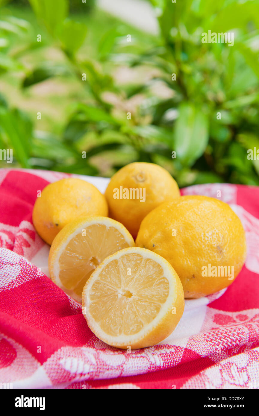 To cut cloth hi-res stock photography and images - Alamy