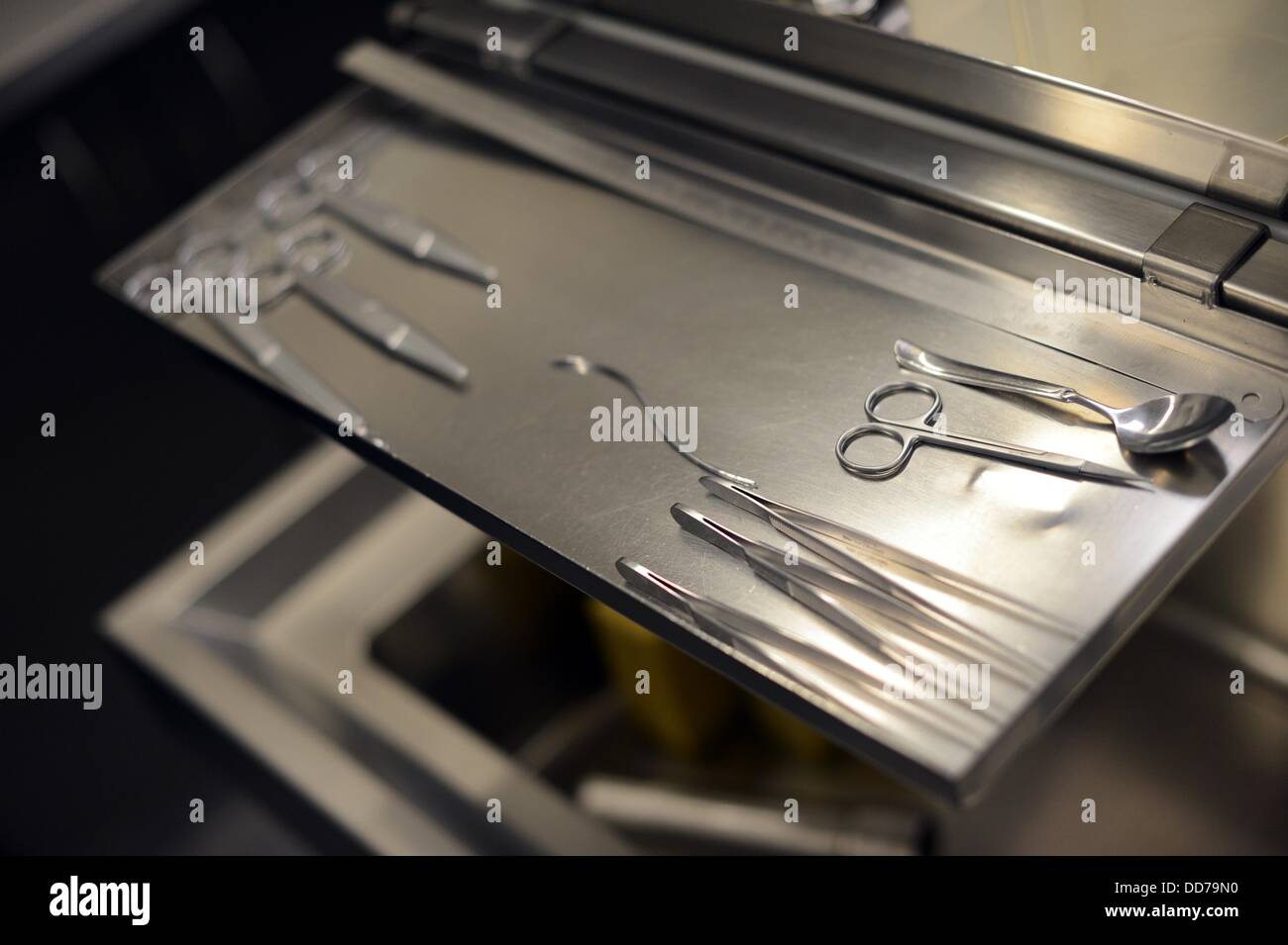 Dissecting Instruments Stock Photos & Dissecting Instruments Stock ...