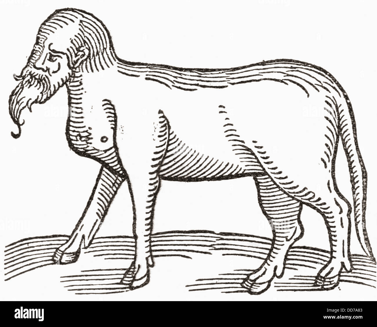 Have faced Cut Out Stock Images & Pictures - Alamy