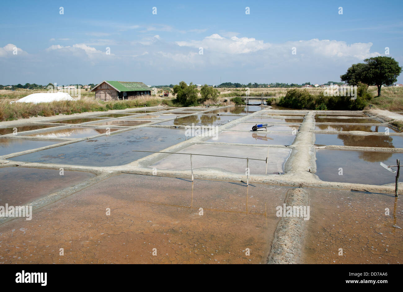 Salt farming hi-res stock photography and images - Alamy