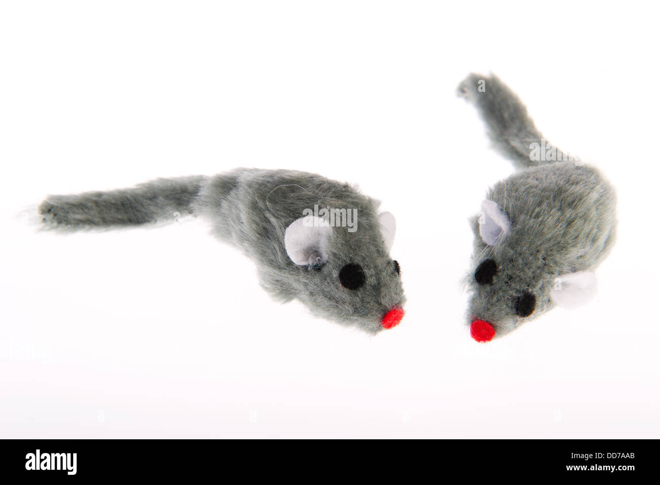 Pair of mice hi-res stock photography and images - Alamy