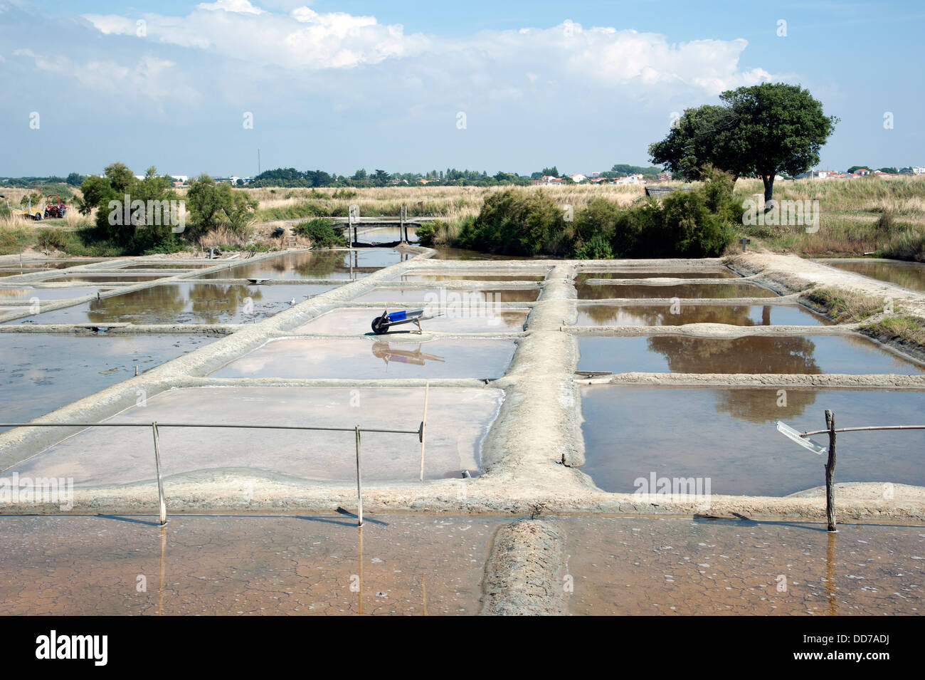 Salt farming hi-res stock photography and images - Alamy