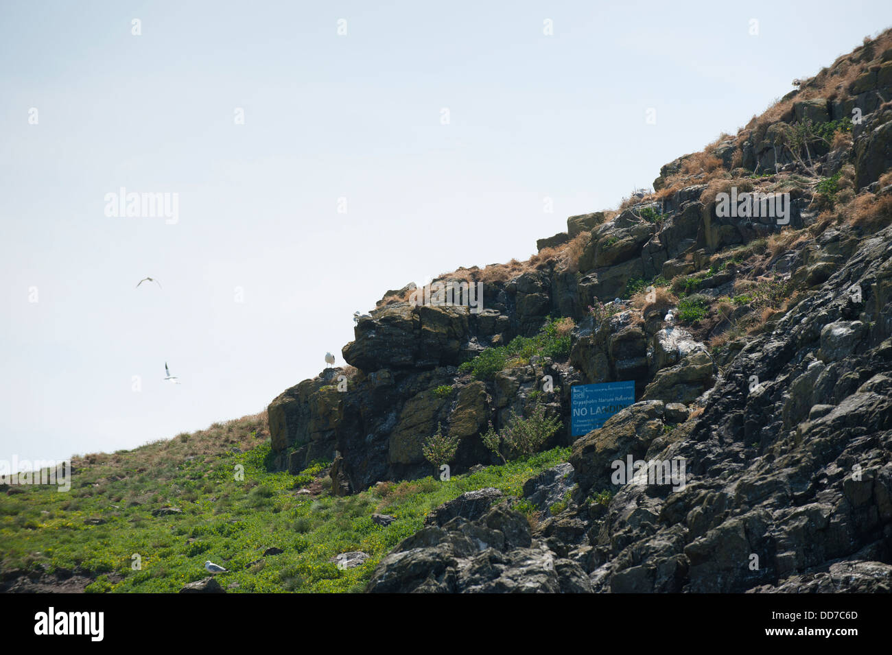 Rspb sign hi-res stock photography and images - Alamy