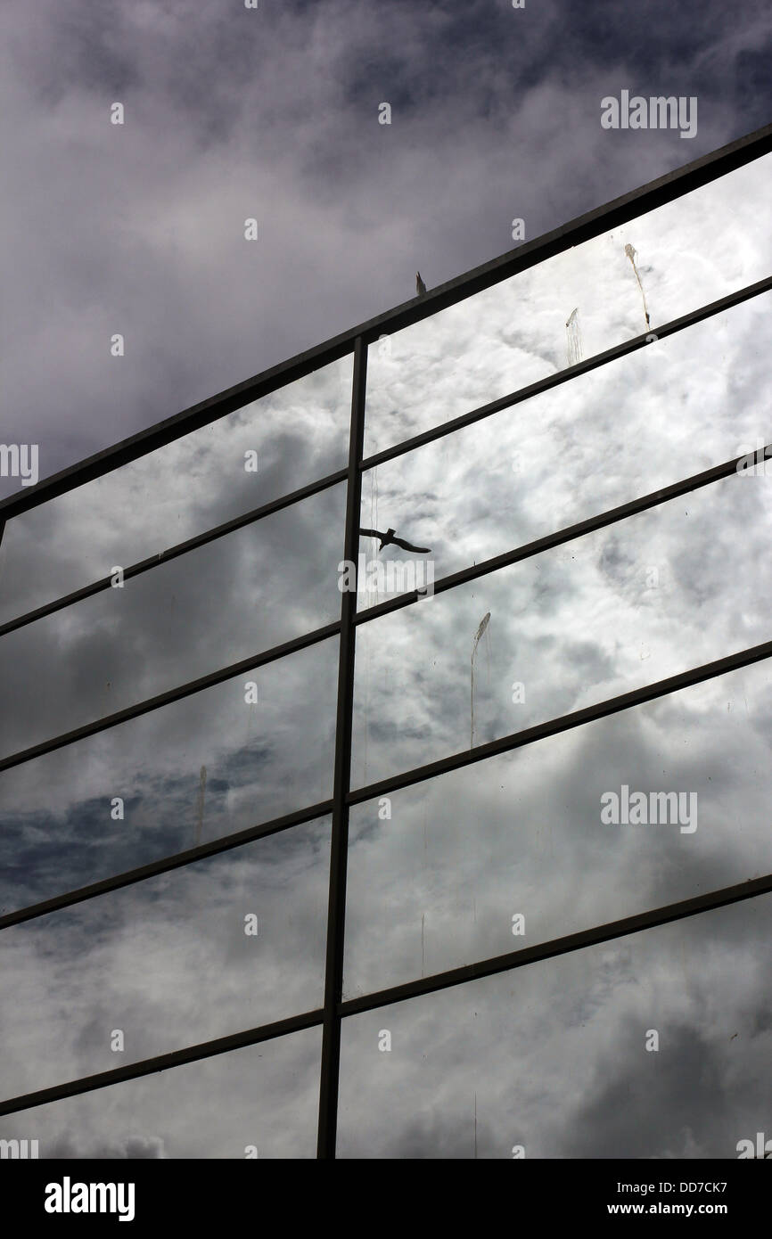 reflected cloud formation in window panes Stock Photo - Alamy