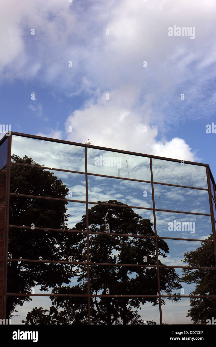 reflected cloud formation in window panes Stock Photo - Alamy