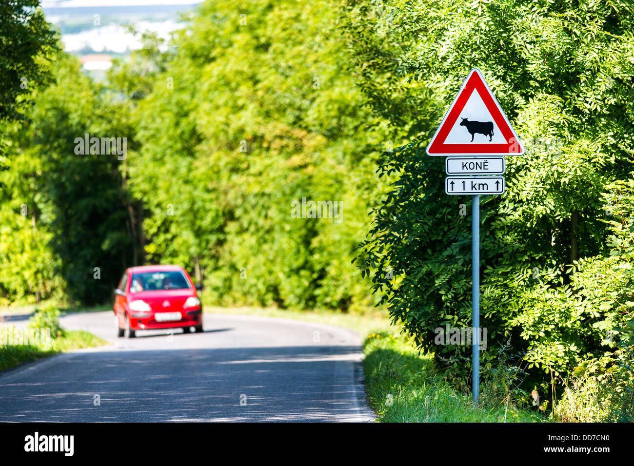 Watch out cows hi-res stock photography and images - Alamy