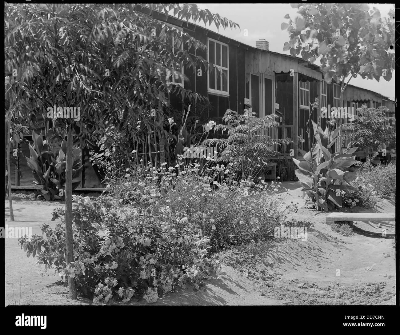The Jerome Relocation Center in Denson, Arkansas, a Japanese American ...