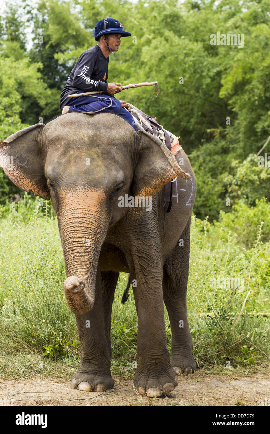 Hua Hin, Prachuap Khiri Khan, Thailand. 28th Aug, 2013. A mahout on his ...