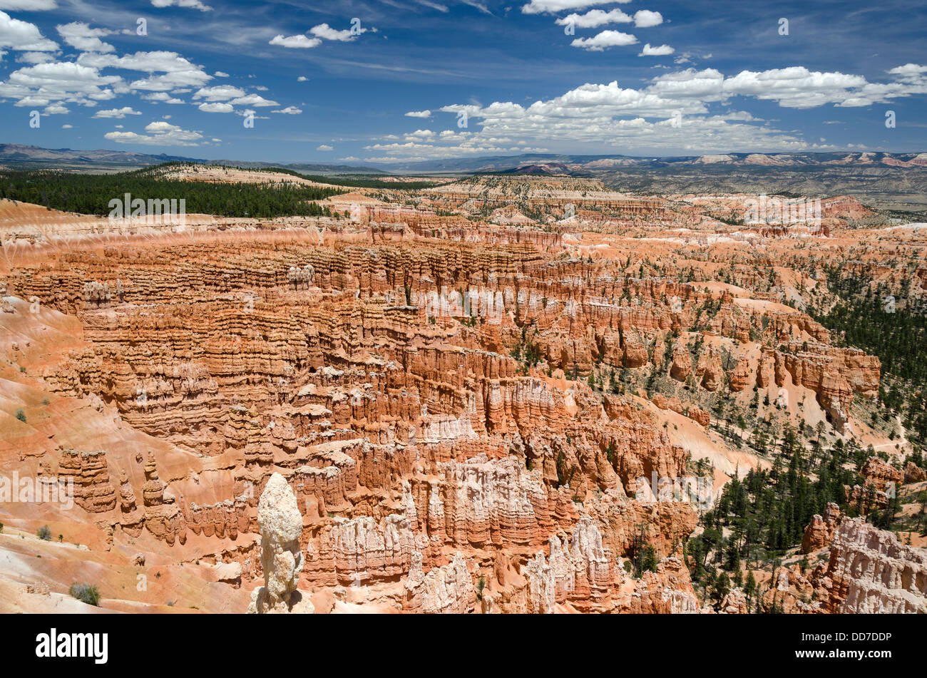 Bryce Canyon National Park in Utah Stock Photo - Alamy