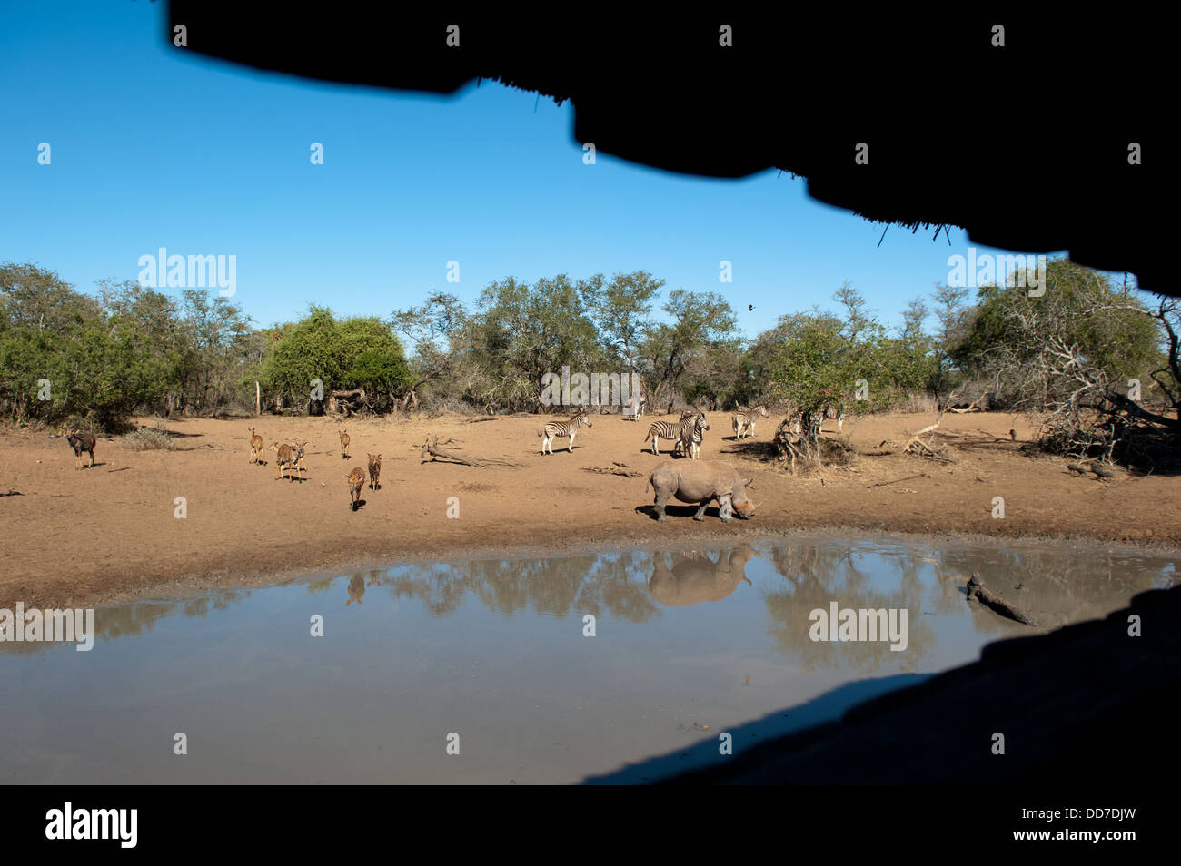 Isimangaliso wetland park in zululand hi-res stock photography and ...