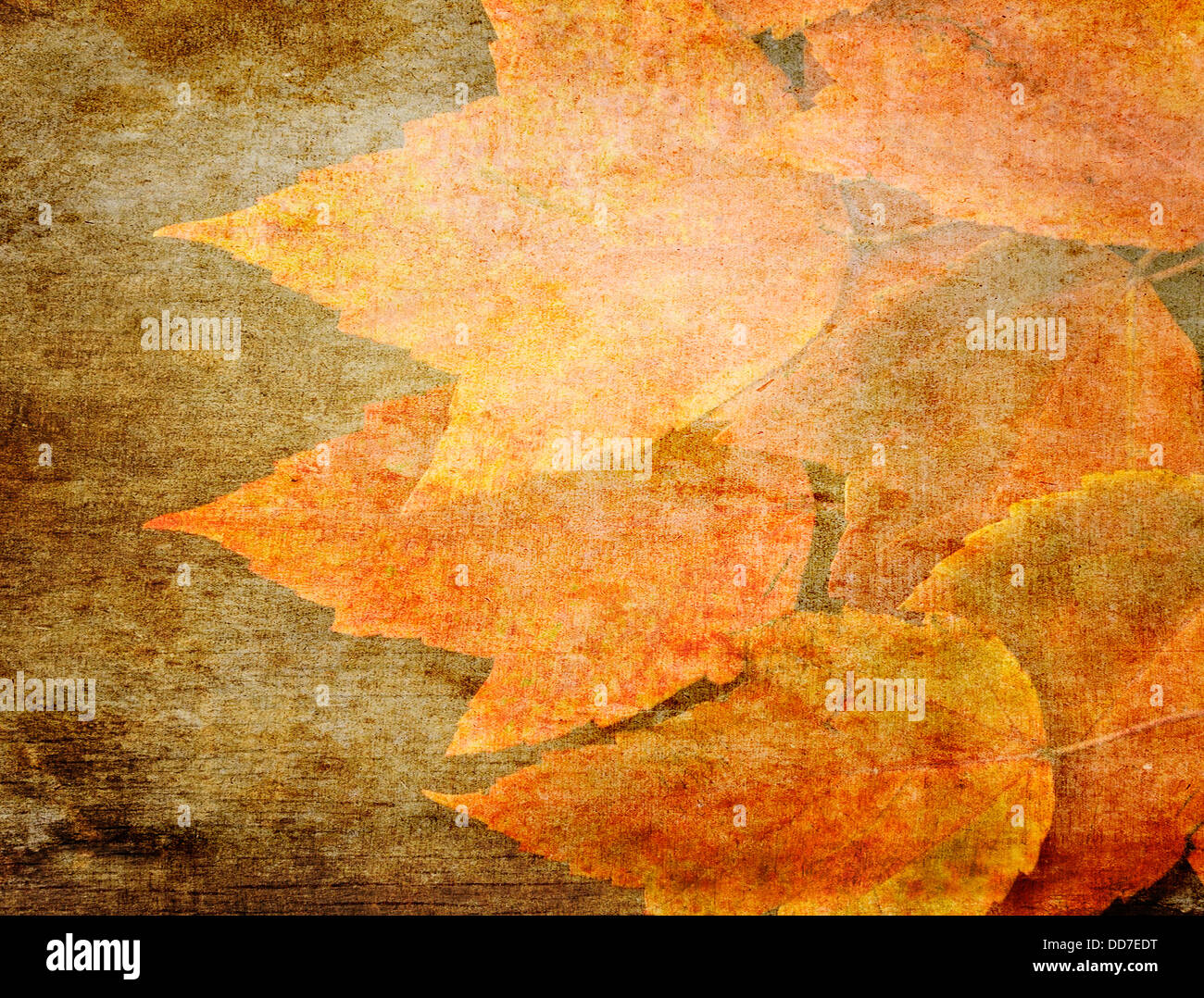 Autumn Grunge Background Stock Photo - Alamy
