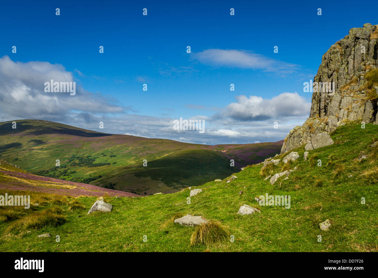 Beautiful views looking over to The Cheviot from crags on the Hedgehope ...