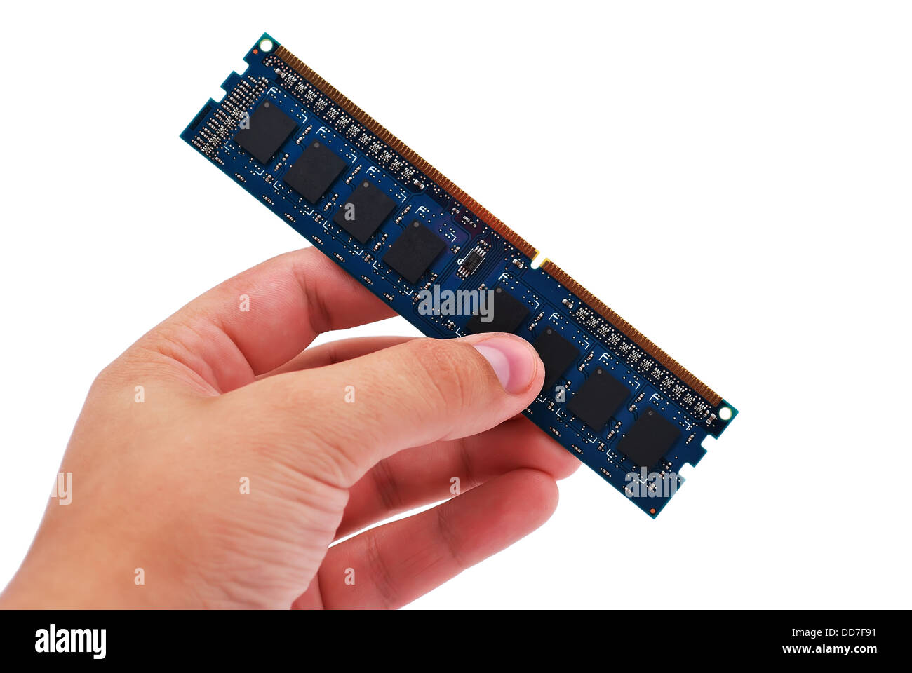 ram in hand Stock Photo - Alamy