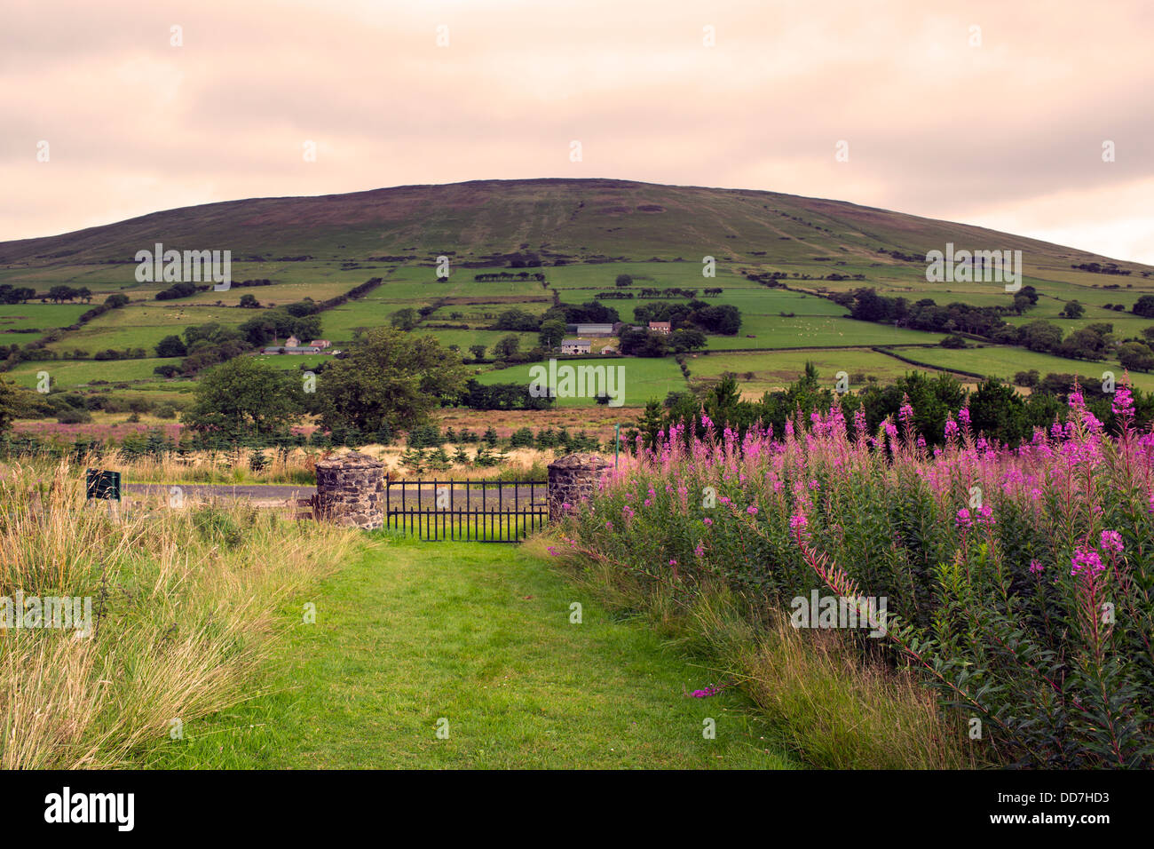 Knocklayde Mountain from Breen Woods Glenshesk County Antrim Northern ...