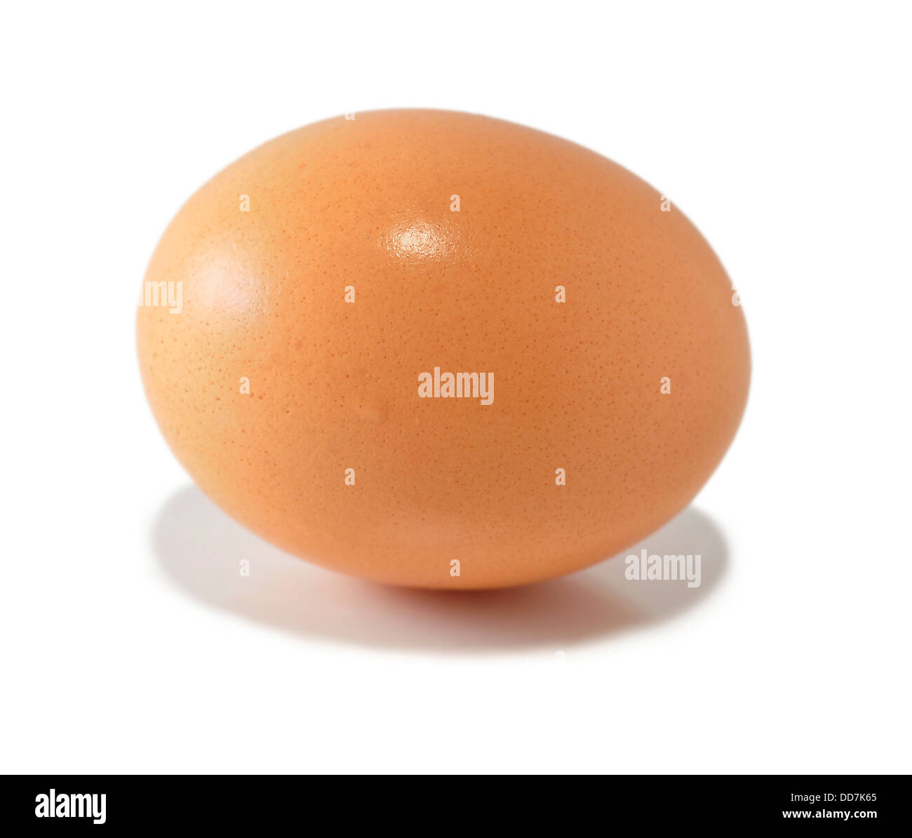Egg shell macro Cut Out Stock Images & Pictures - Alamy