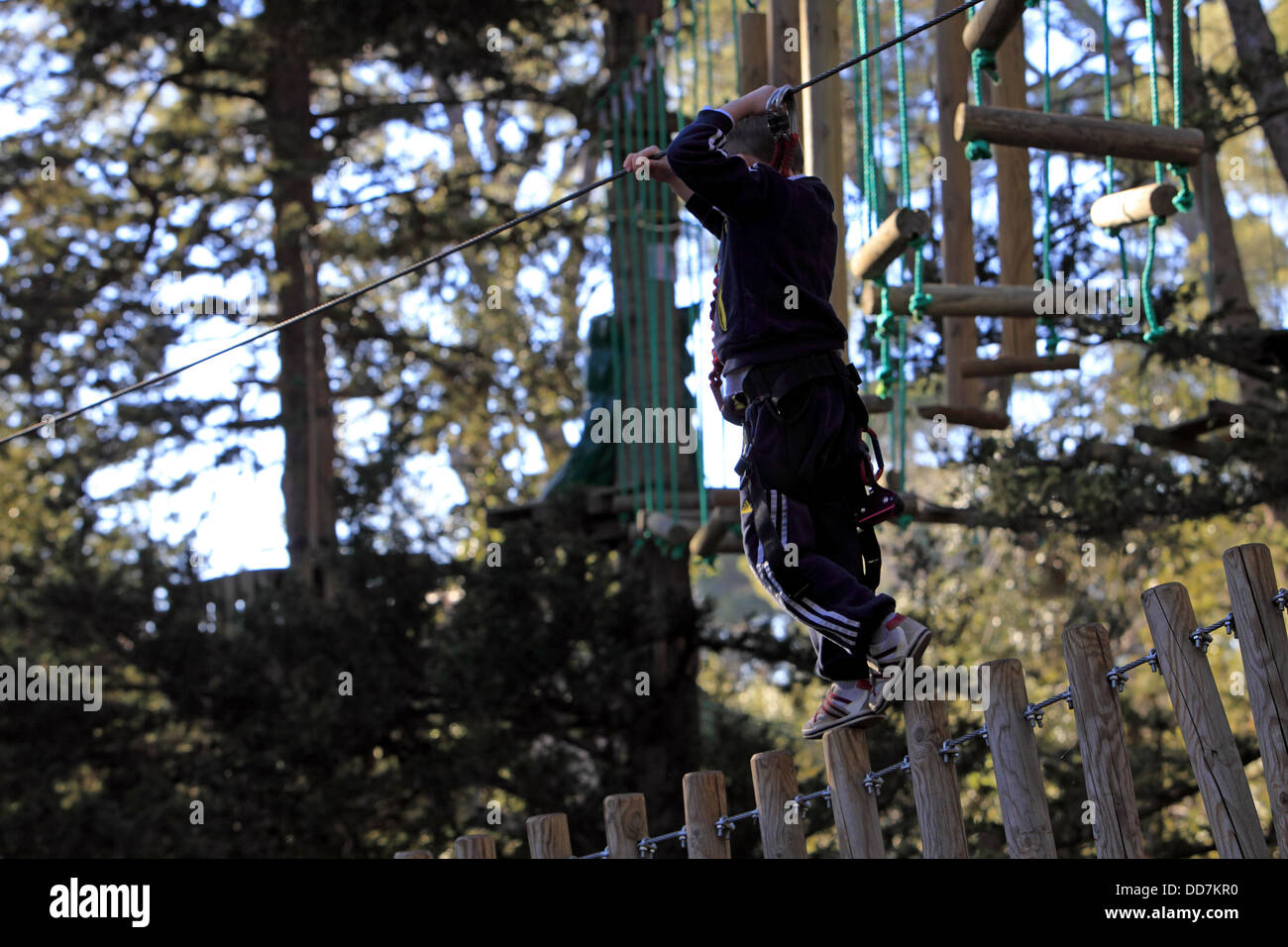 Tree climbing adventure hi-res stock photography and images - Alamy