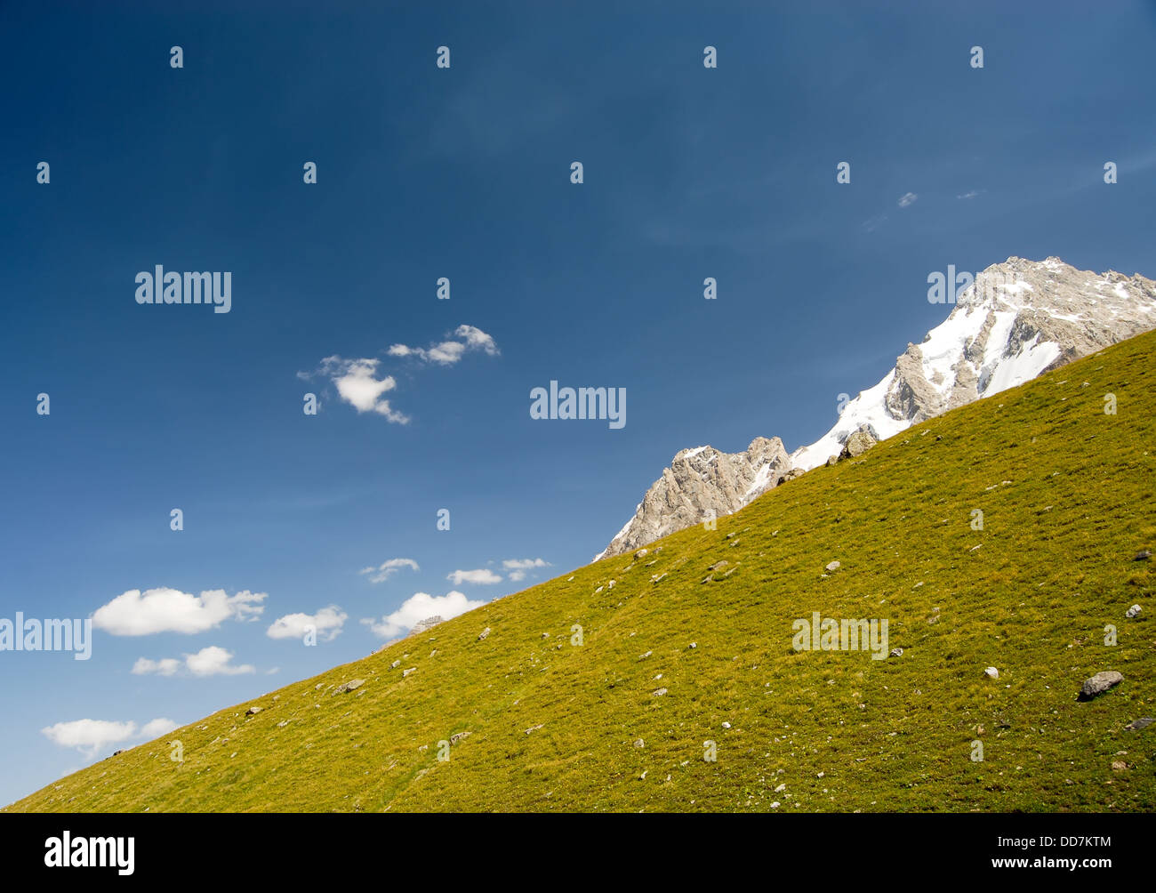 Gorgeous green hill high up in the mountains Stock Photo - Alamy
