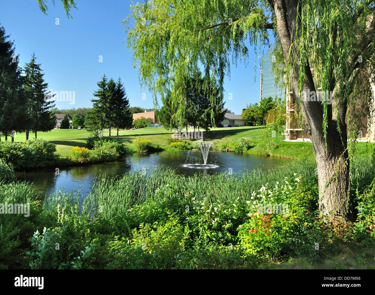 summer landscape with pond Stock Photo - Alamy