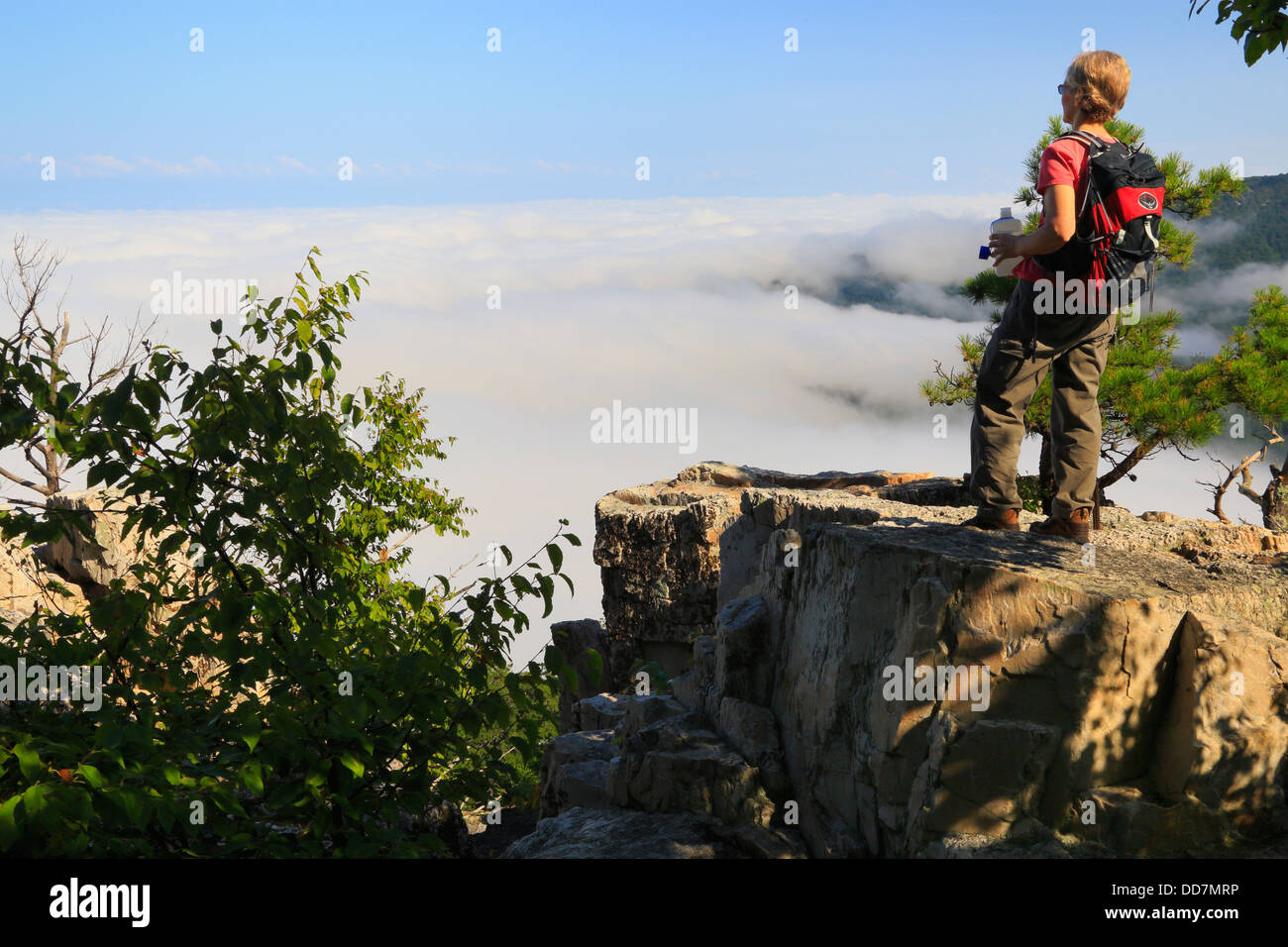 Rising Fog Over Shenandoah Valley, At Chimney Rocks, Riprap Trail ...