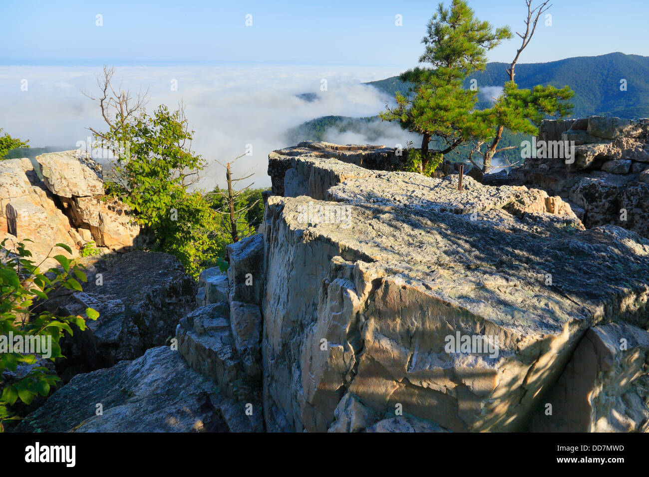 Rising Fog Over Shenandoah Valley, At Chimney Rocks, Riprap Trail ...