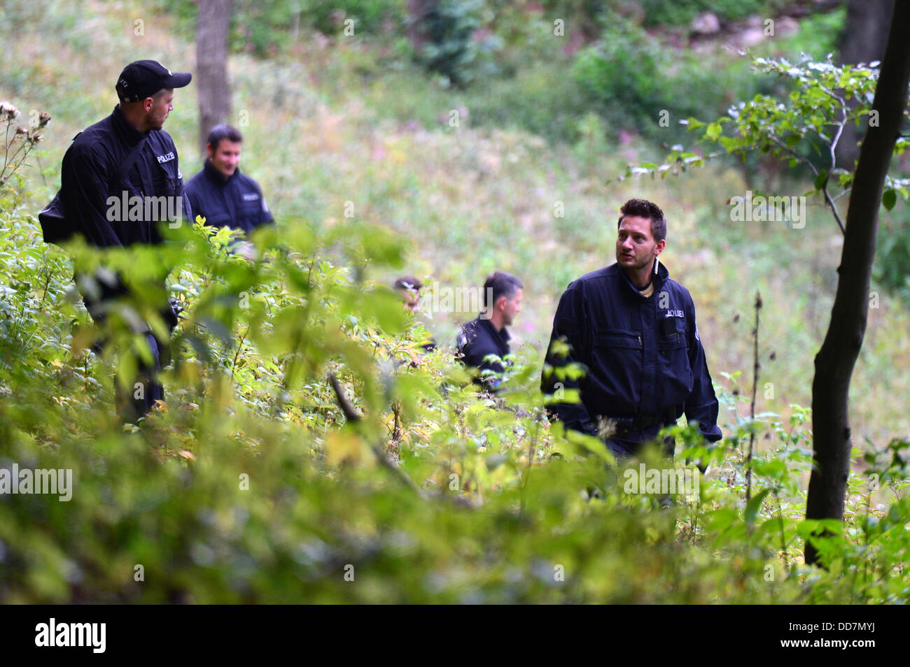 Forest police hi-res stock photography and images - Alamy