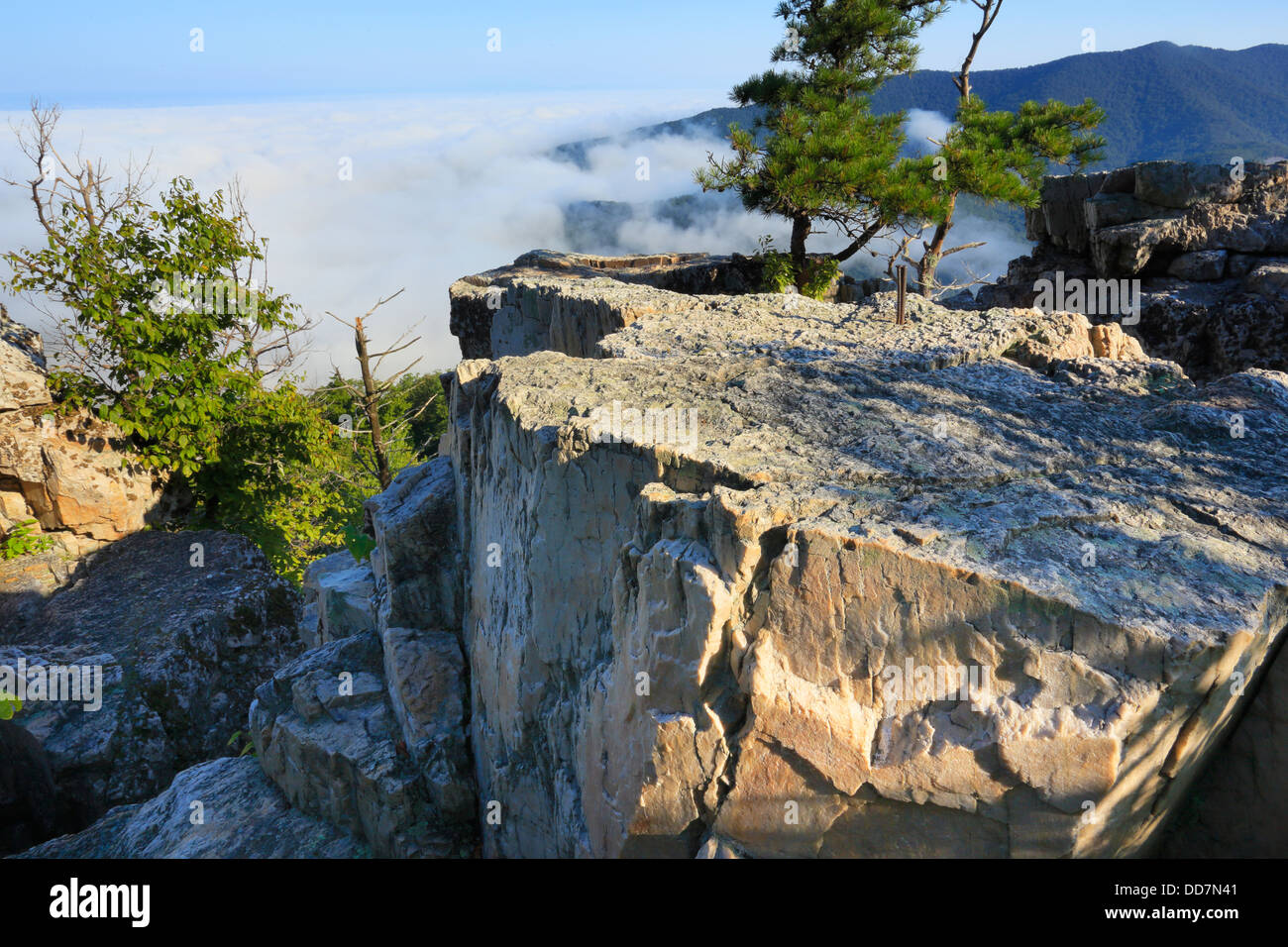 Rising Fog Over Shenandoah Valley, At Chimney Rocks, Riprap Trail ...