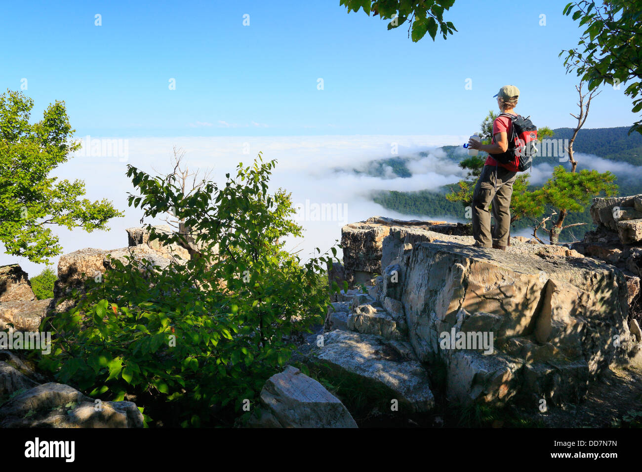 Rising Fog Over Shenandoah Valley, At Chimney Rocks, Riprap Trail ...