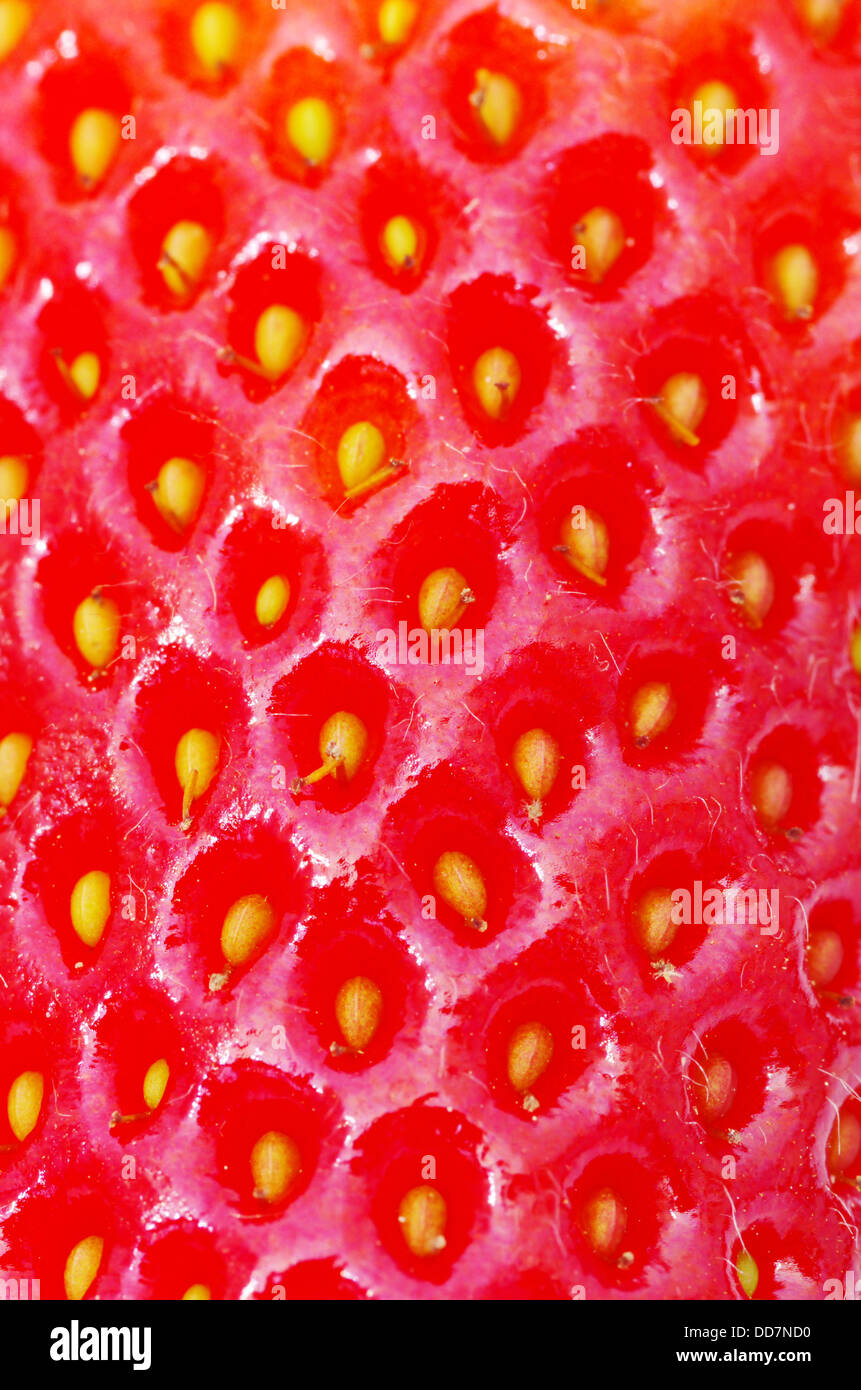 Pulpy texture hi-res stock photography and images - Alamy