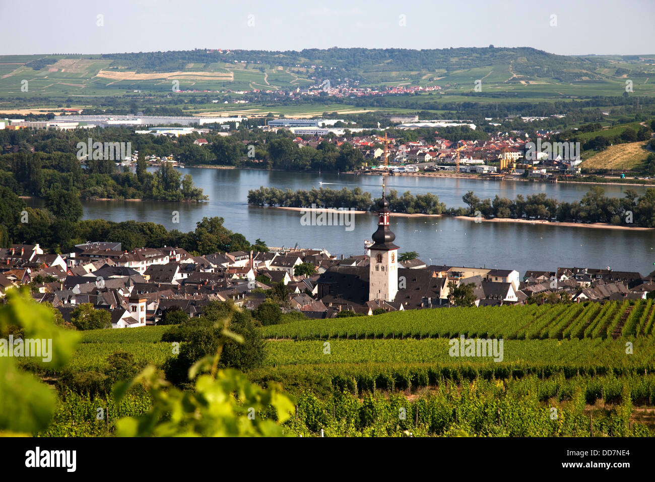 Rudesheim germany hi-res stock photography and images - Alamy