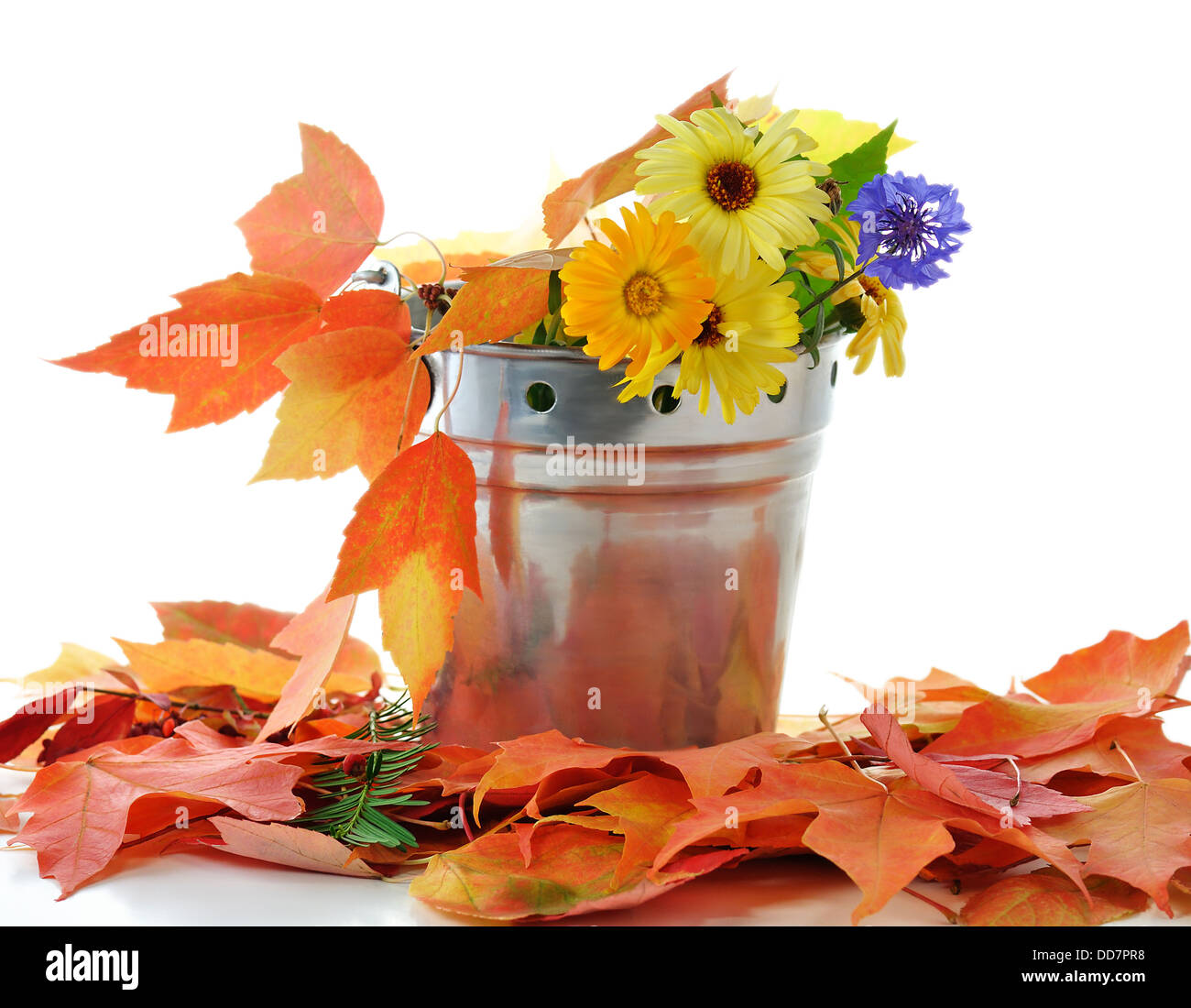 Autumn border composition vibrant hi-res stock photography and images ...