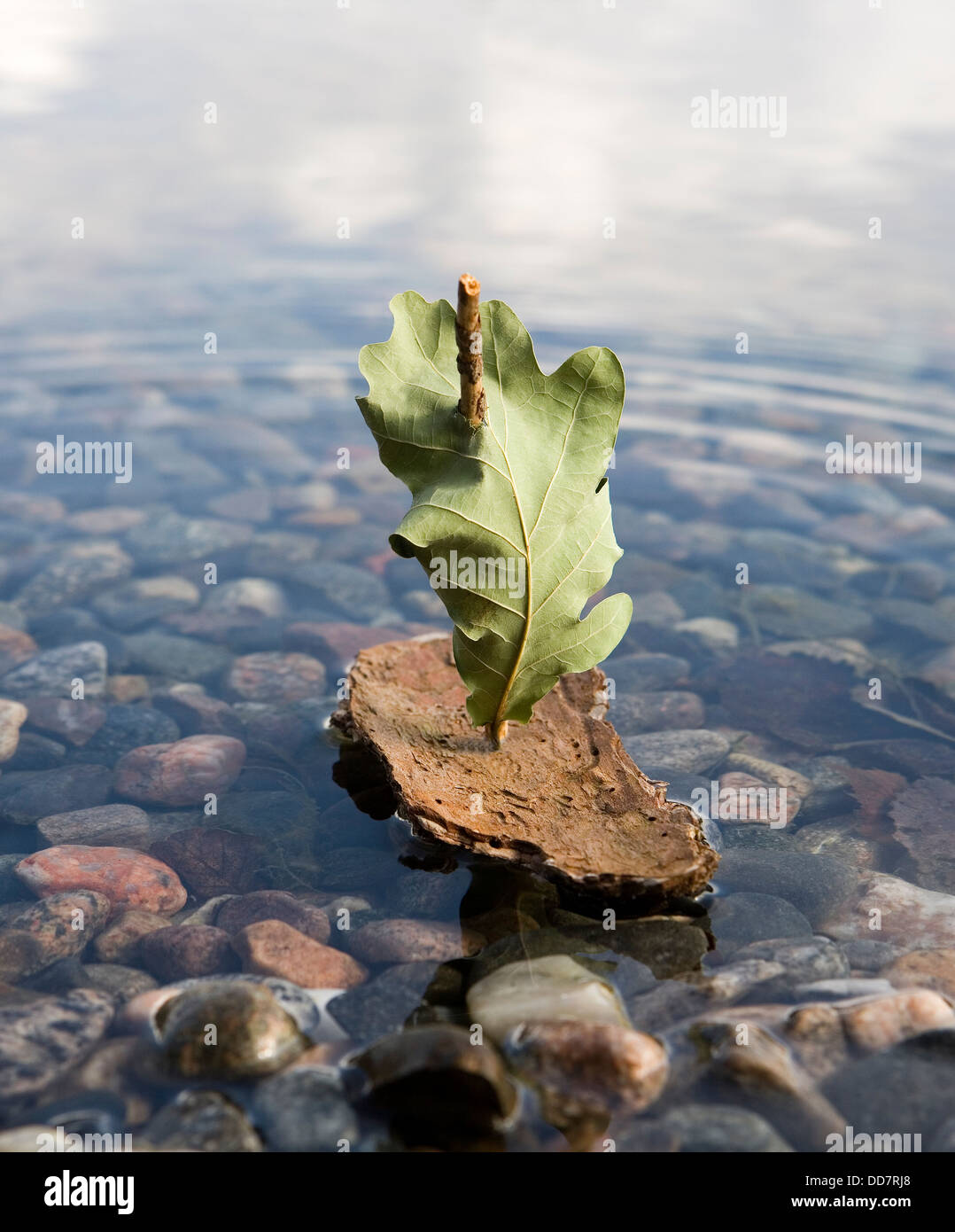 Bark boat toy hi-res stock photography and images - Alamy