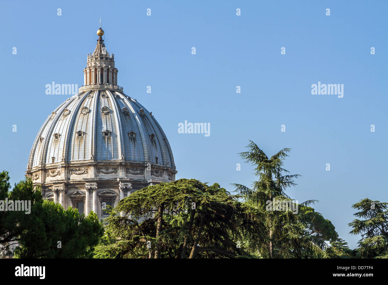 St Peters Basilica Rome Stock Photo - Alamy