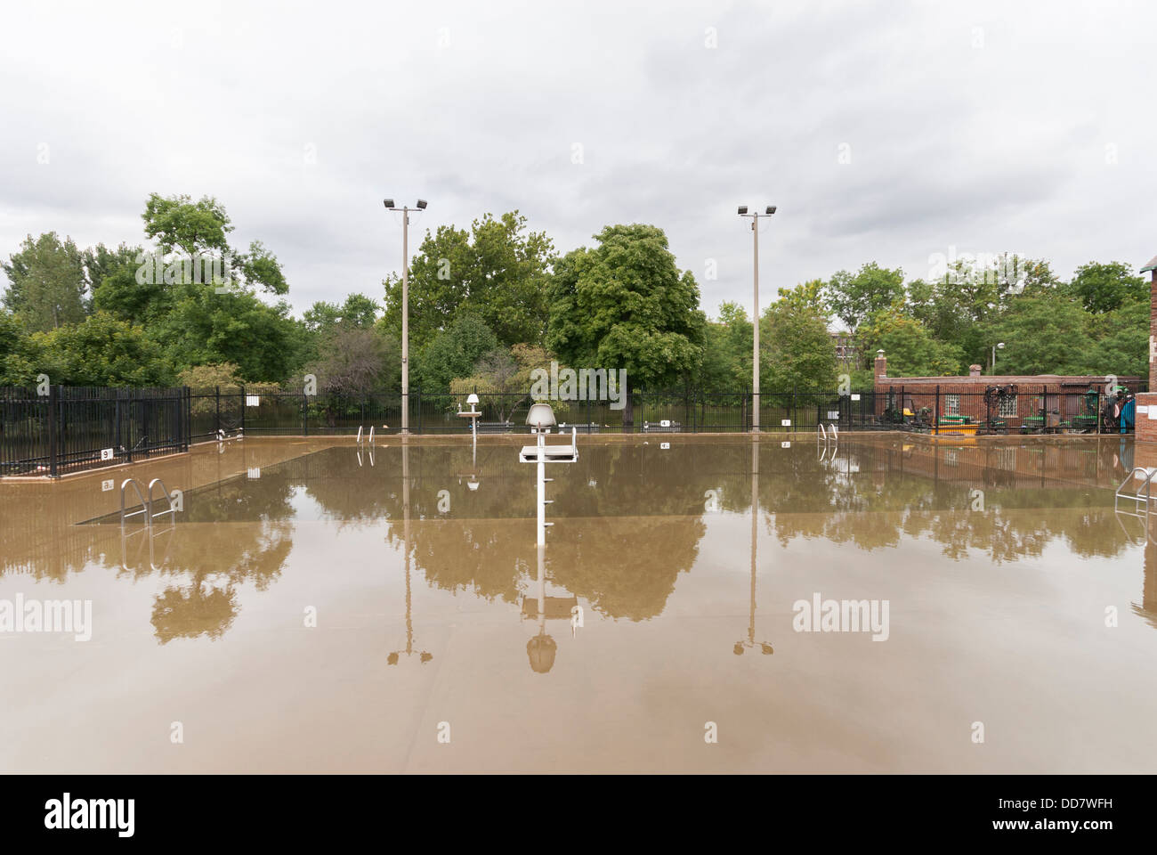 Tree floating flood hi-res stock photography and images - Alamy