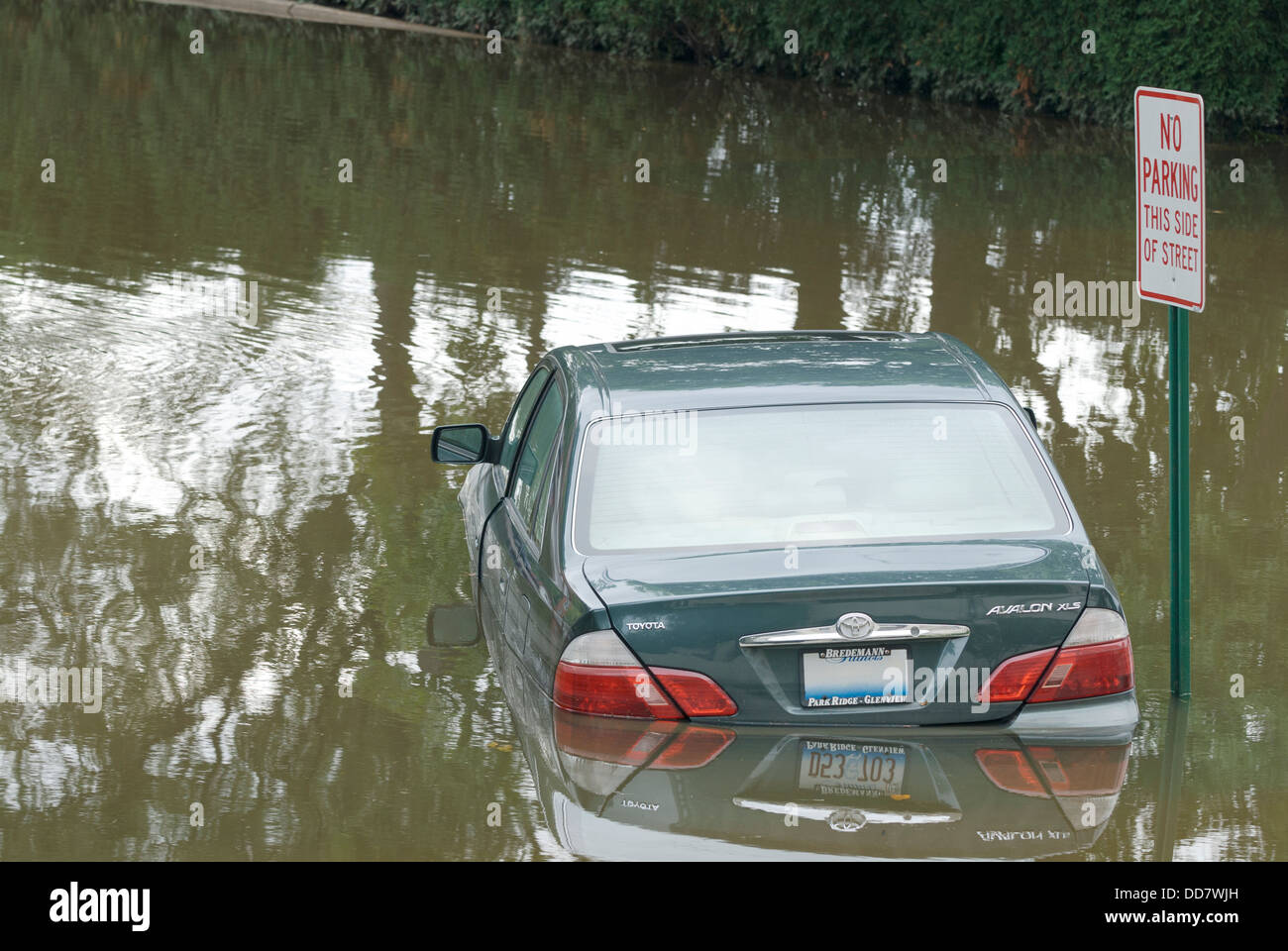 Tree floating flood hi-res stock photography and images - Alamy