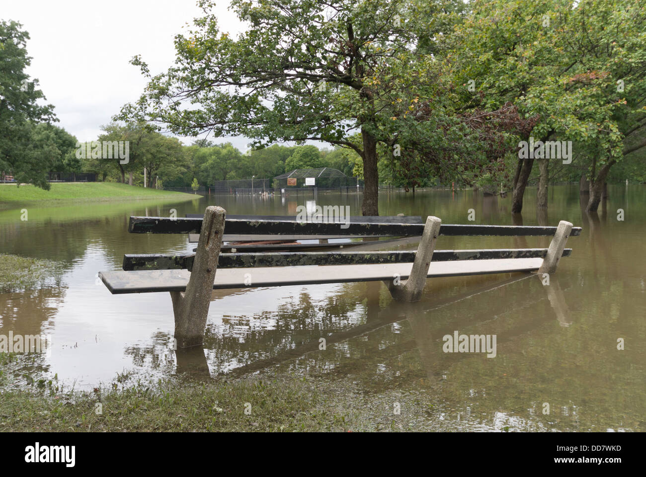 Tree floating flood hi-res stock photography and images - Alamy