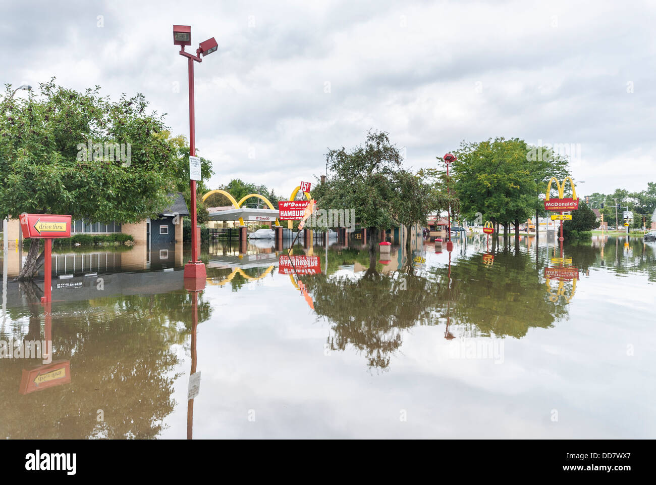 Tree floating flood hi-res stock photography and images - Alamy