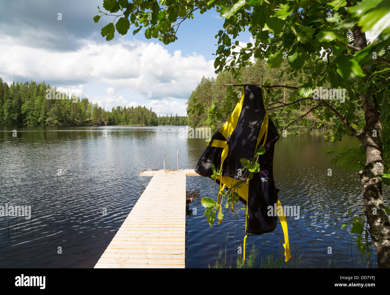 Life jacket hanging on tree branch , Finland Stock Photo - Alamy