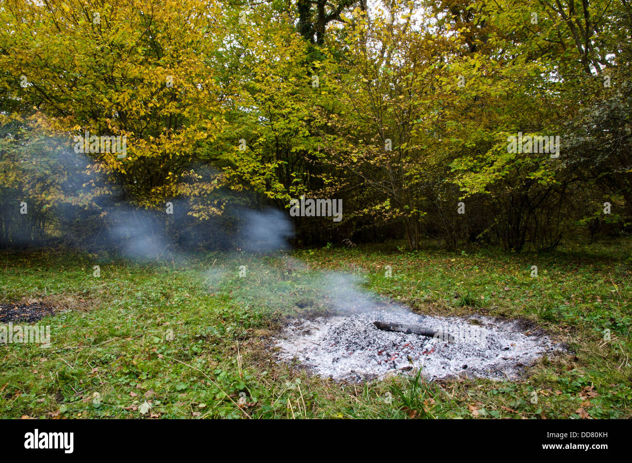 Burn hazel hi-res stock photography and images - Alamy